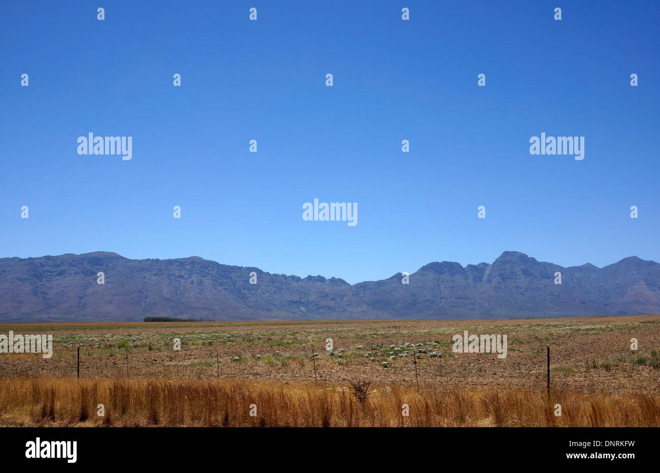 Near the small town of Hermon in the Boland region of the Western Cape ...