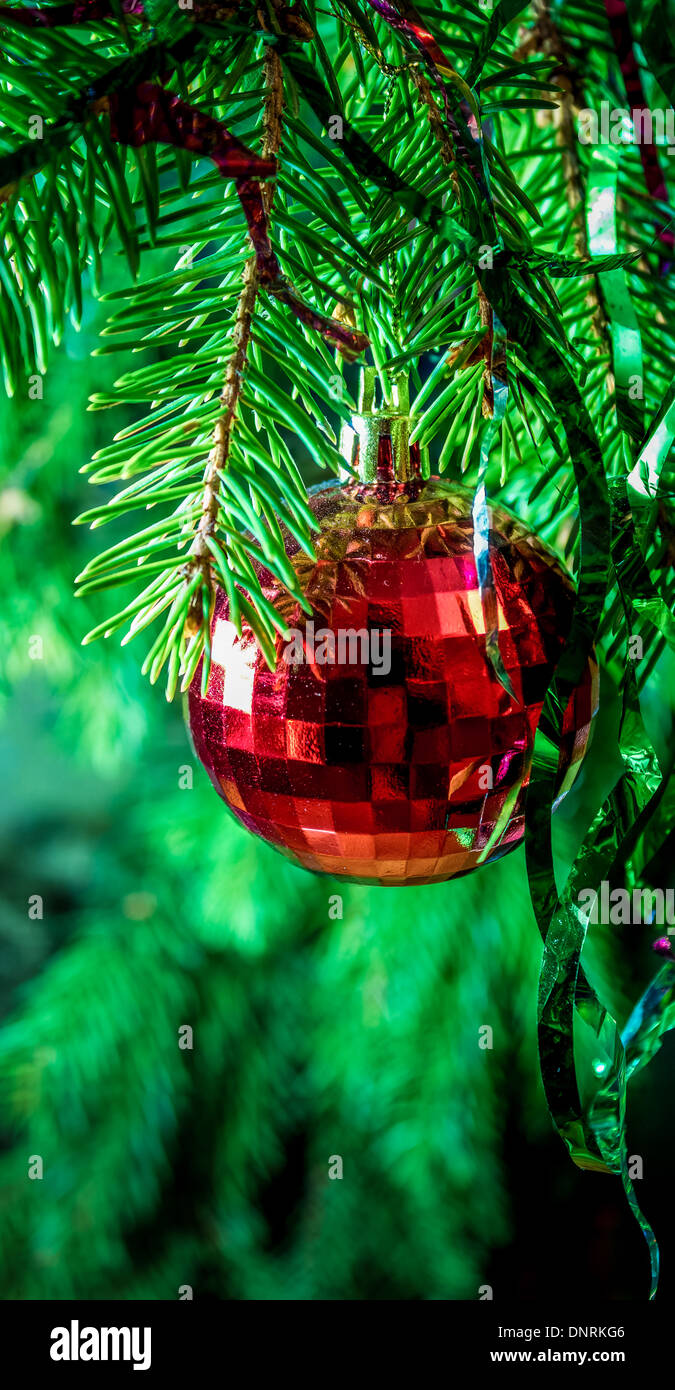 Fir hang traditional tree hi-res stock photography and images - Alamy