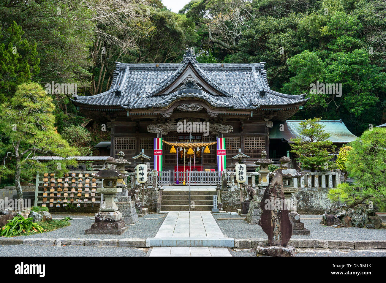 Shirahama Jinja Shrine, Shizuoka Prefecture, Japan Stock Photo - Alamy