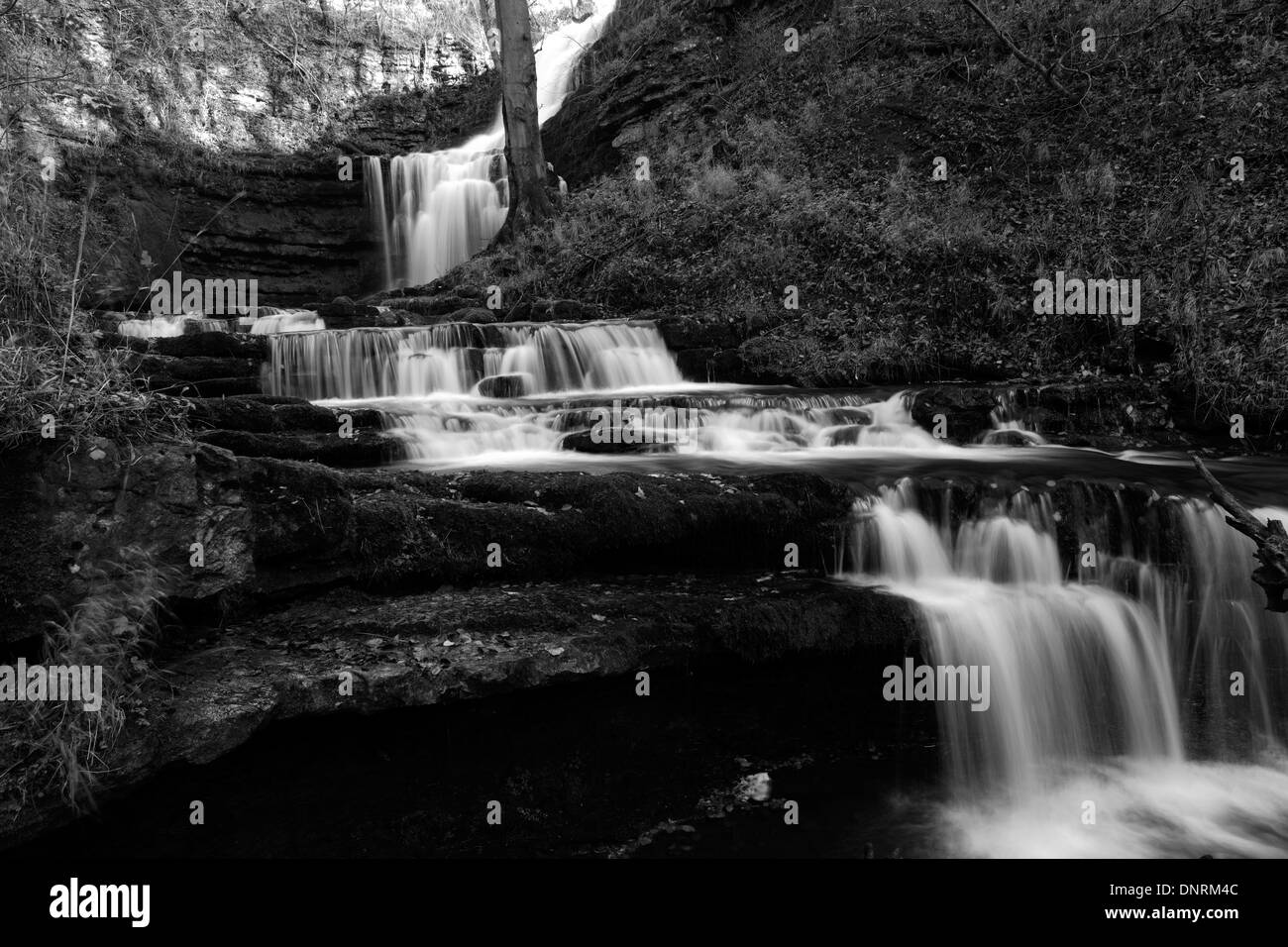 Parks riverbanks Black and White Stock Photos & Images - Alamy