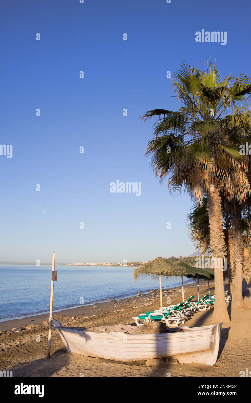 Palm tree and boat hi-res stock photography and images - Alamy