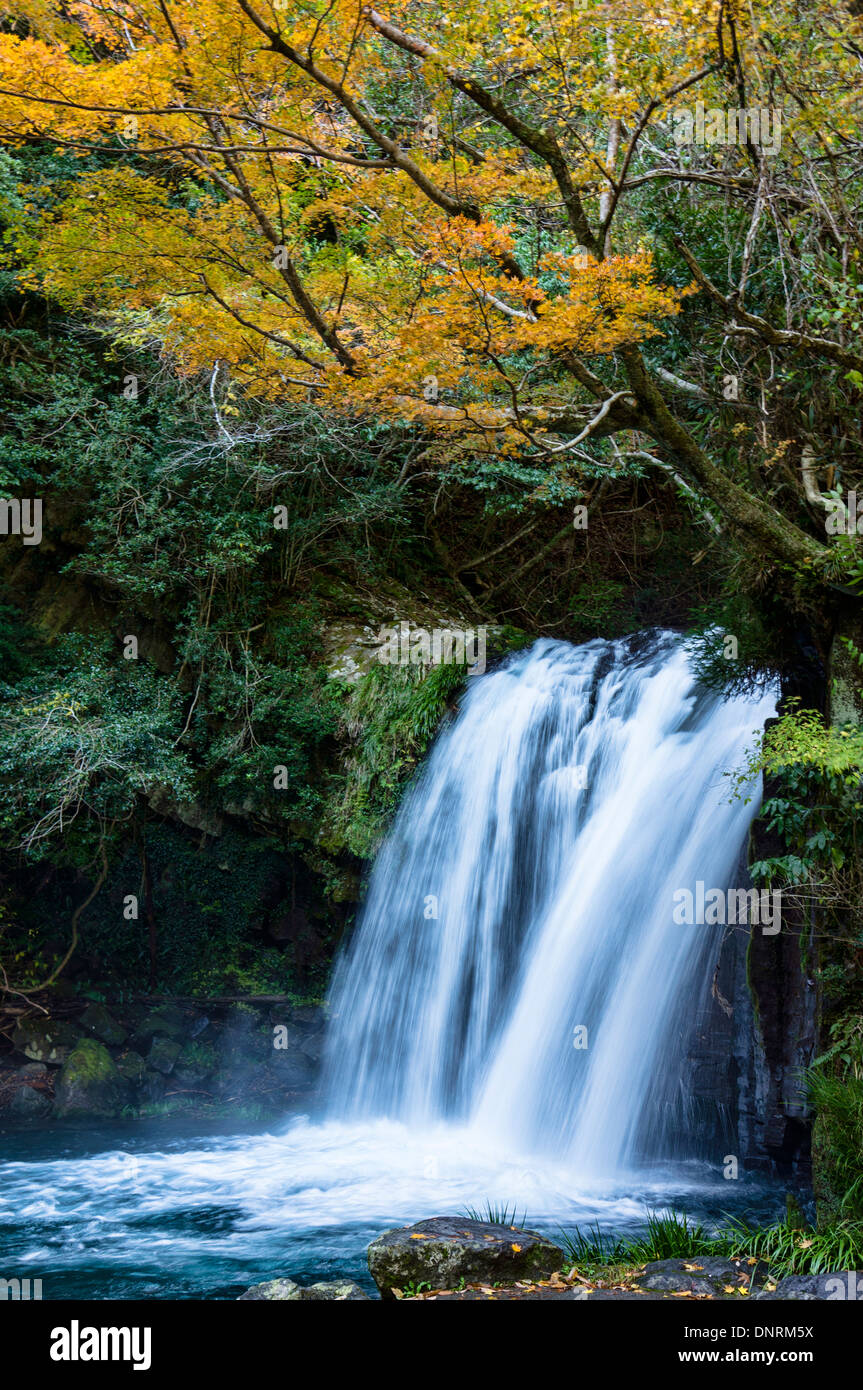 Shokeidaru Waterfall, Kawazu Nanadar, Shizuoka Prefecture, Japan Stock ...