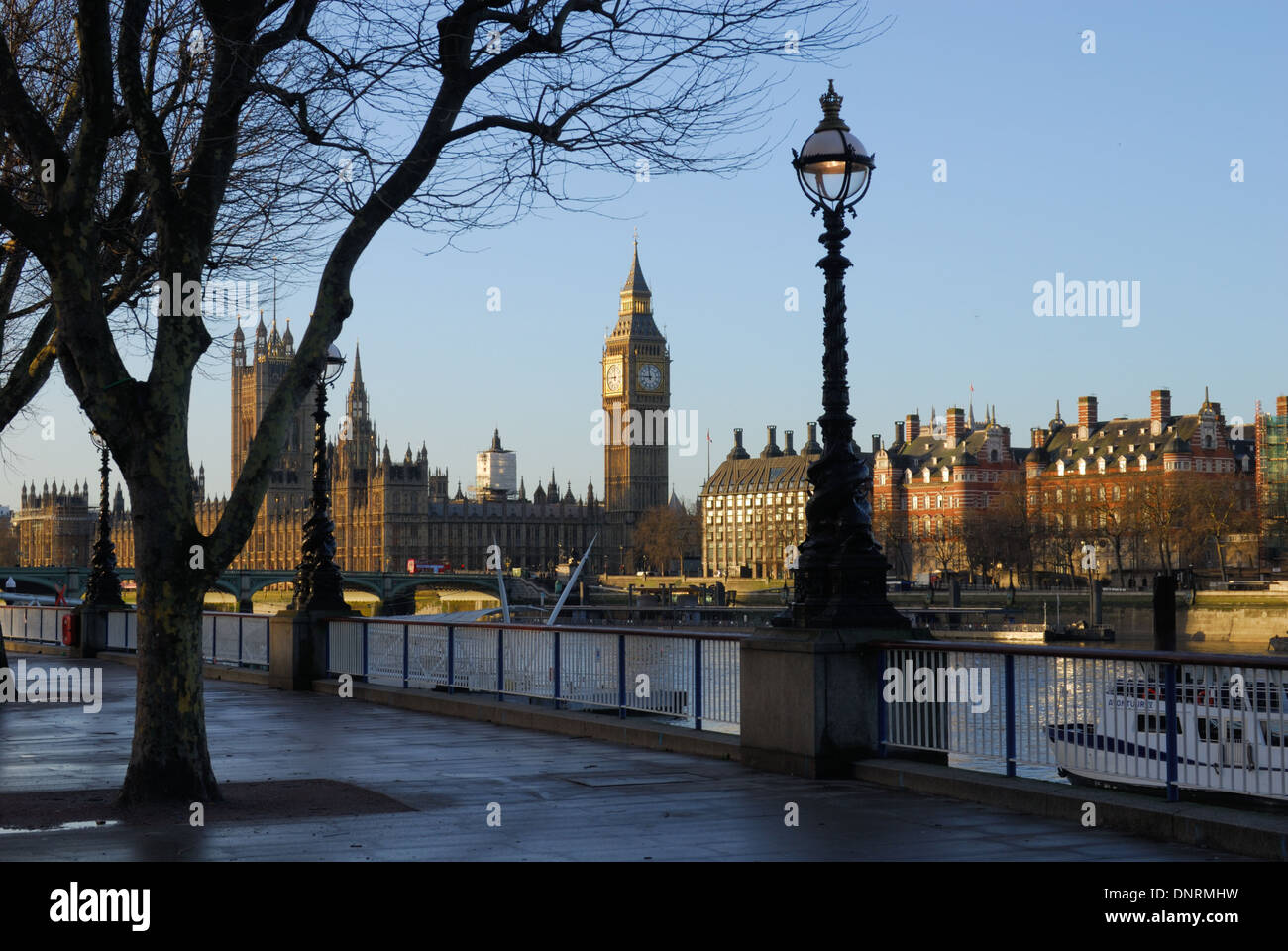 Parliament tree hi-res stock photography and images - Alamy