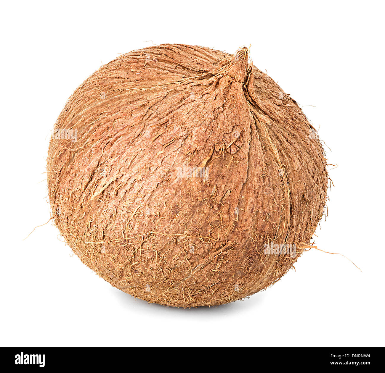 Solid nut hi-res stock photography and images - Alamy