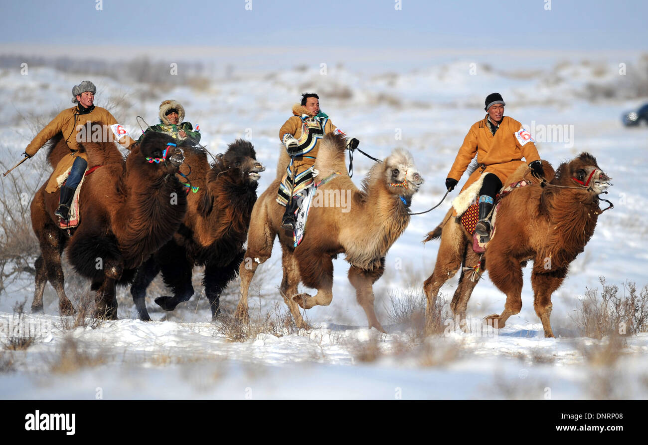 Camel racing mongolia hi-res stock photography and images - Alamy