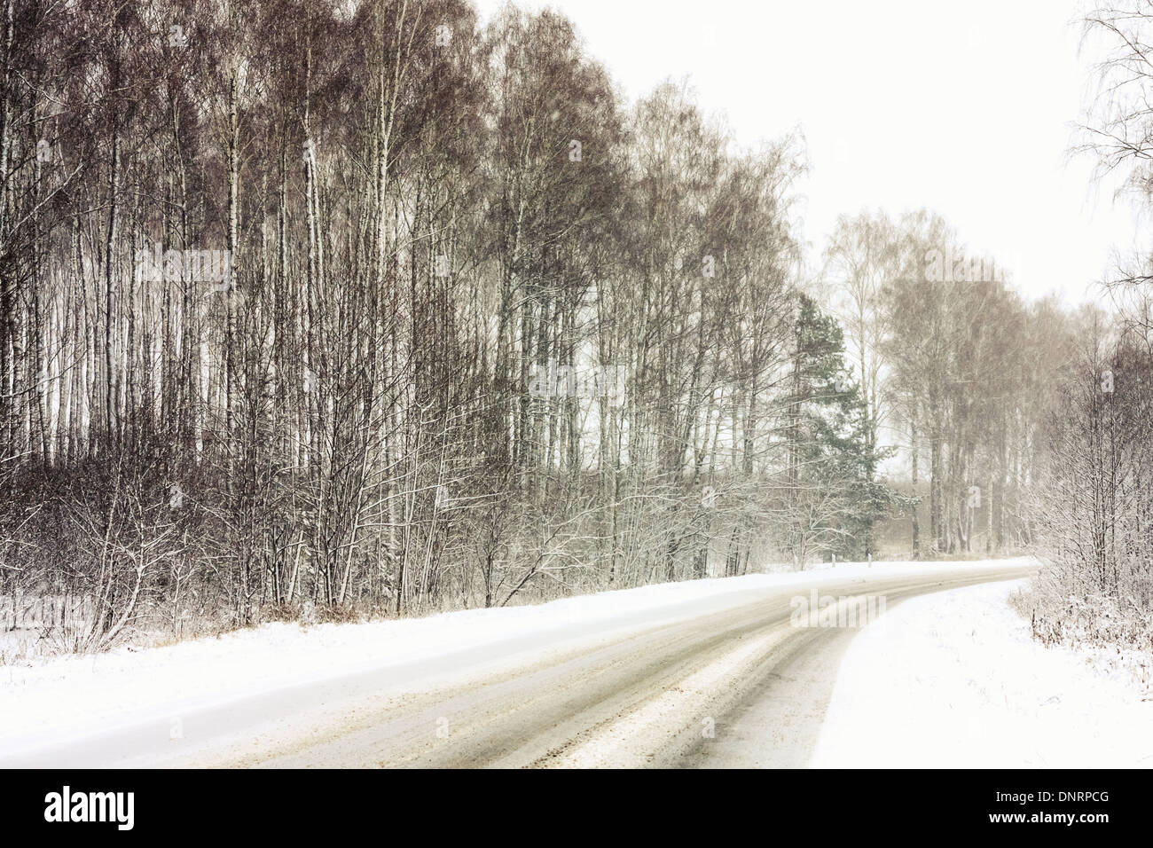 Adverse conditions hi-res stock photography and images - Alamy