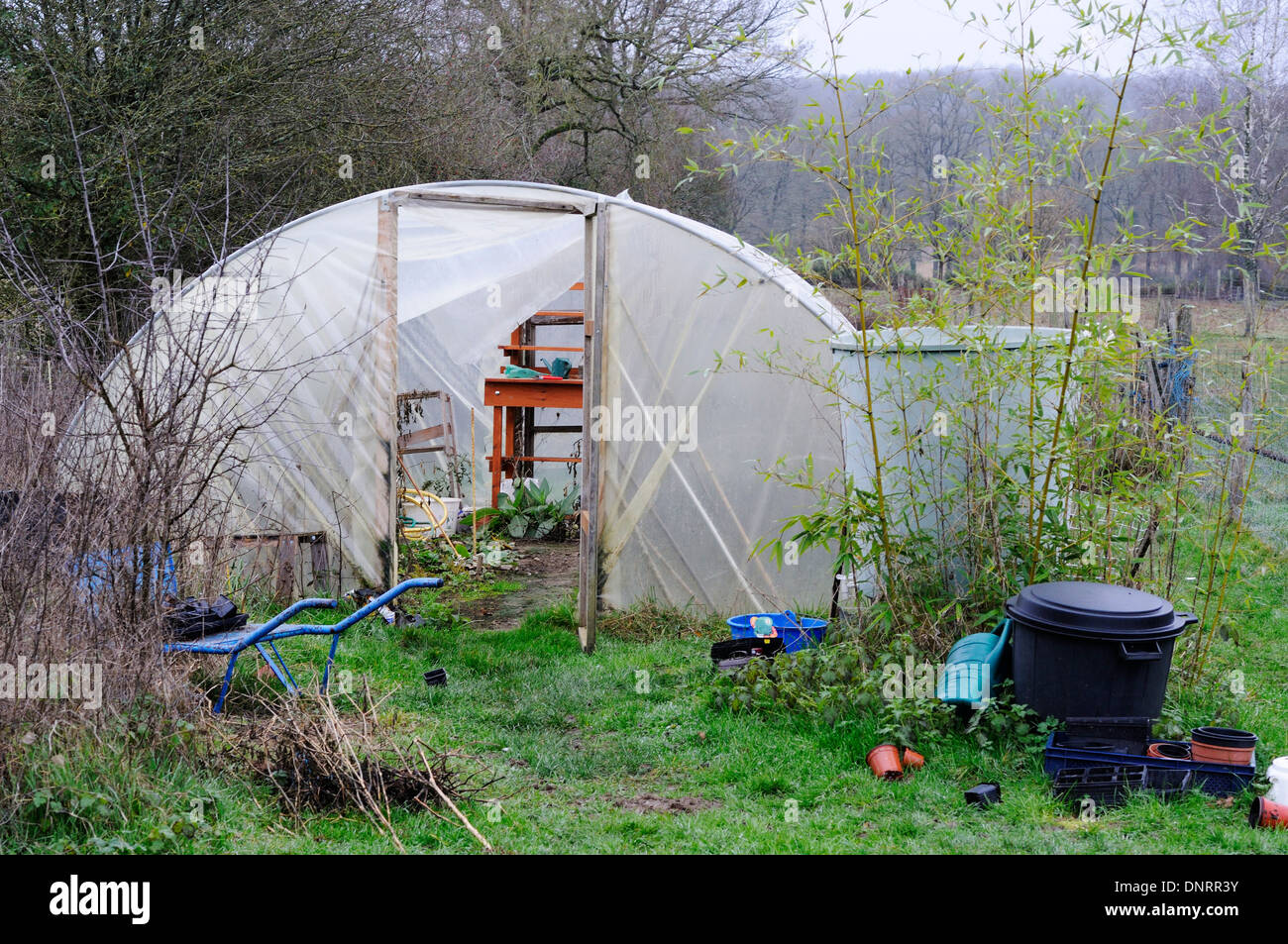 Polytunnel garden hi-res stock photography and images - Alamy