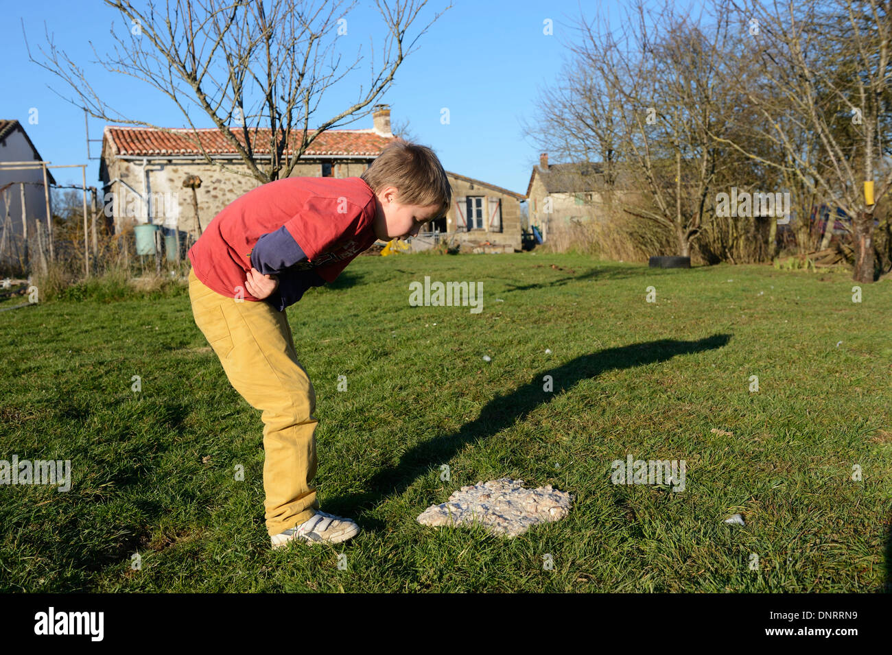 Vomit Stock Photos & Vomit Stock Images - Alamy