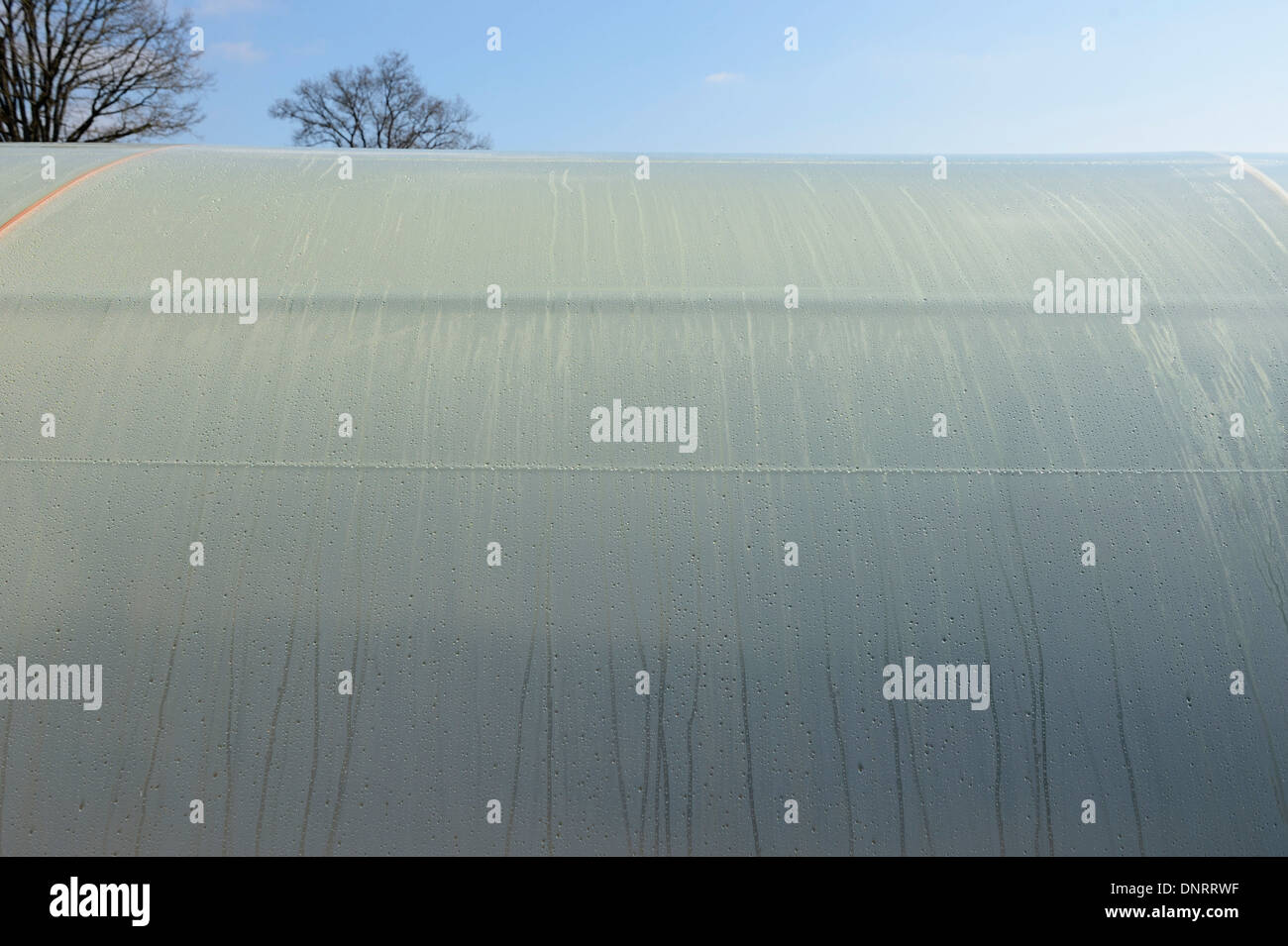 New plastic sheet being fitted to a polytunnel frame Stock Photo - Alamy