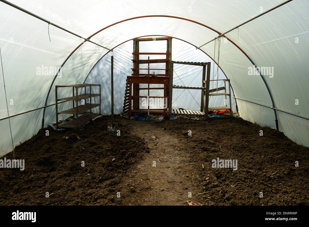 Inside a polytunnel hi-res stock photography and images - Alamy