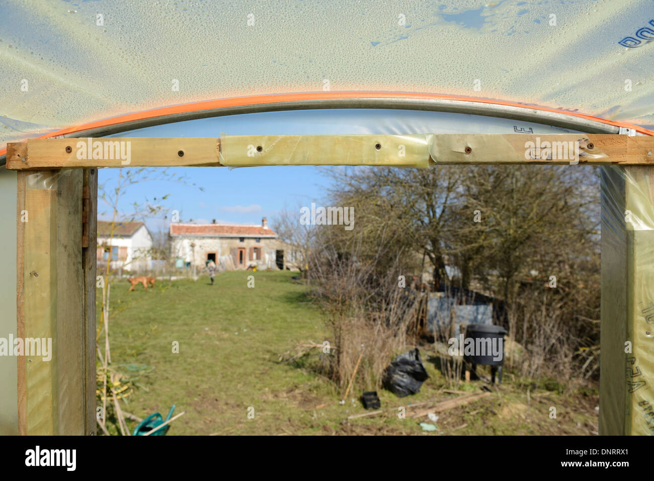 New plastic sheet being fitted to a polytunnel frame Stock Photo - Alamy
