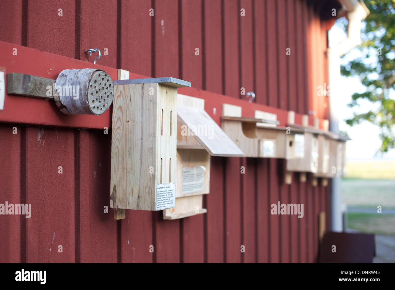 Ottenby nature reserve - Öland island Sweden Stock Photo - Alamy
