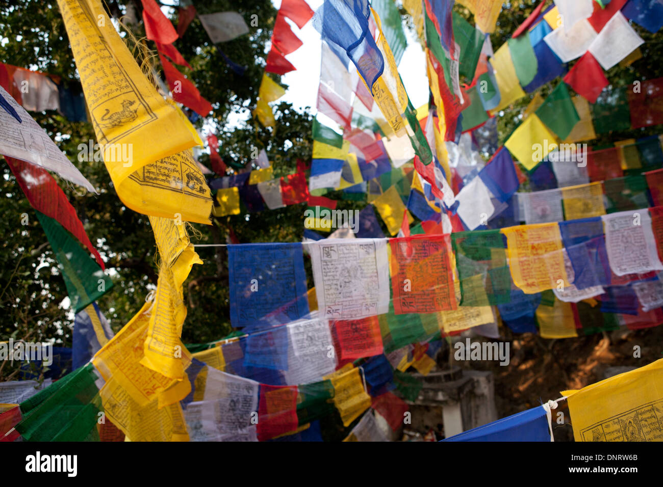 Buddhist prayer flags at Dungeshwari cave temples, near Gaya, Bihar ...