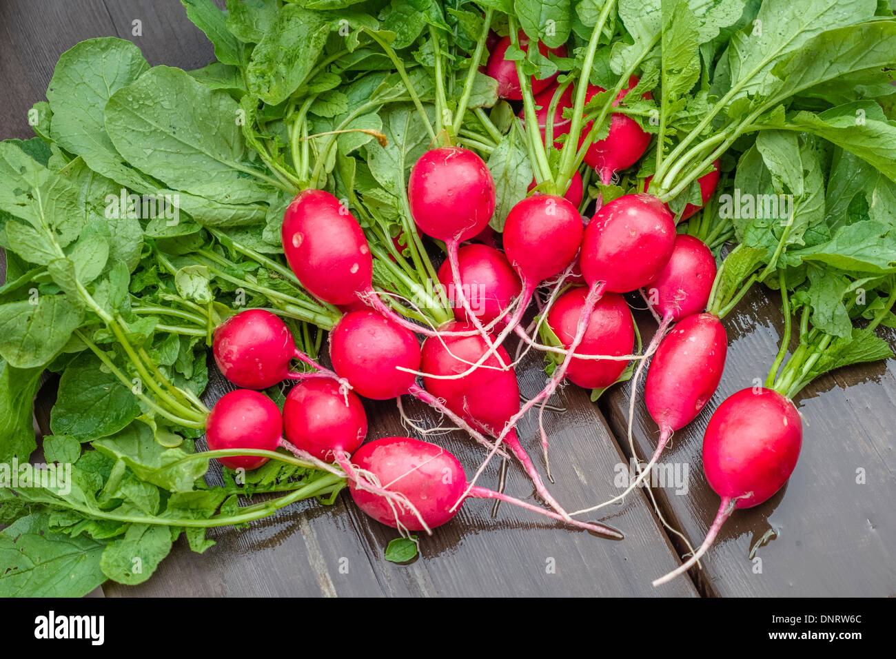 Radish hi-res stock photography and images - Alamy
