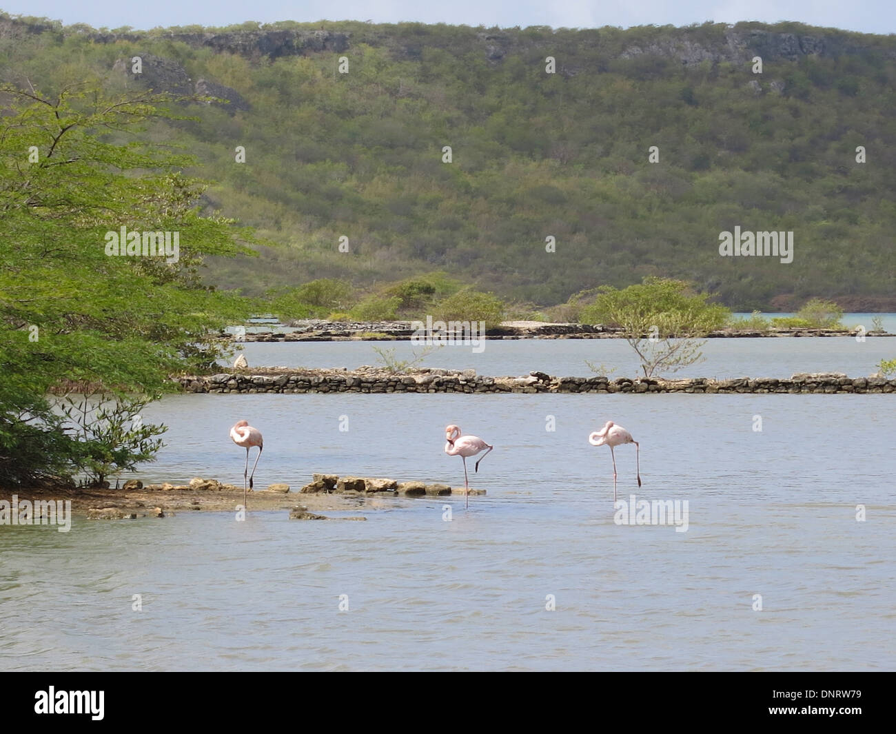 Salt on pink lake hi-res stock photography and images - Alamy