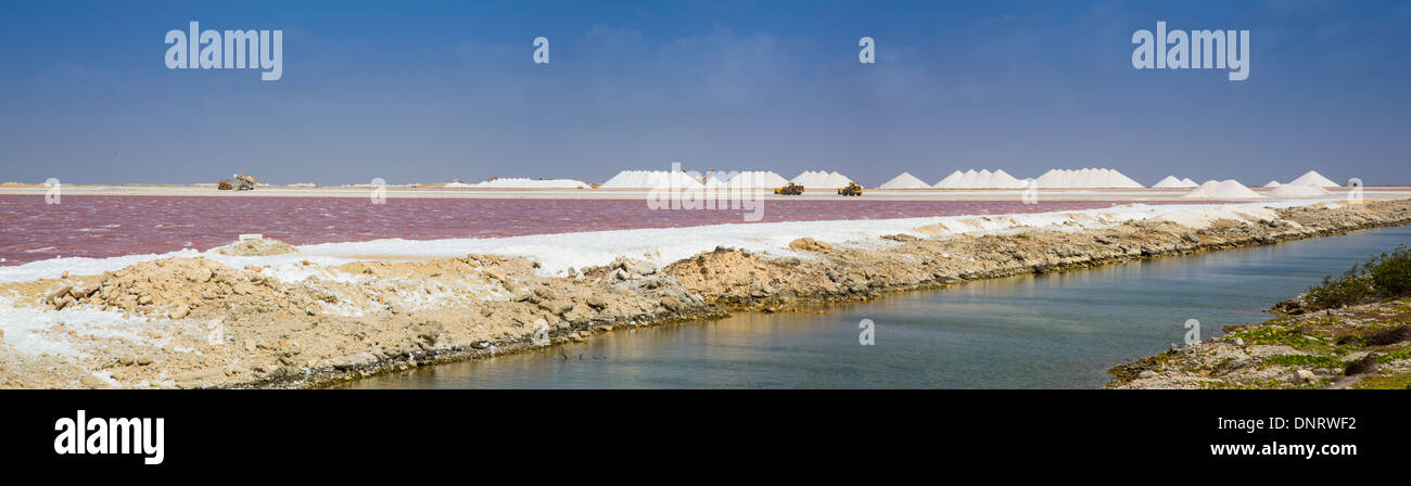 The seas salt mining operation on the caribbean island of Bonaire. The ...