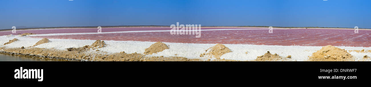 The seas salt mining operation on the caribbean island of Bonaire. The ...