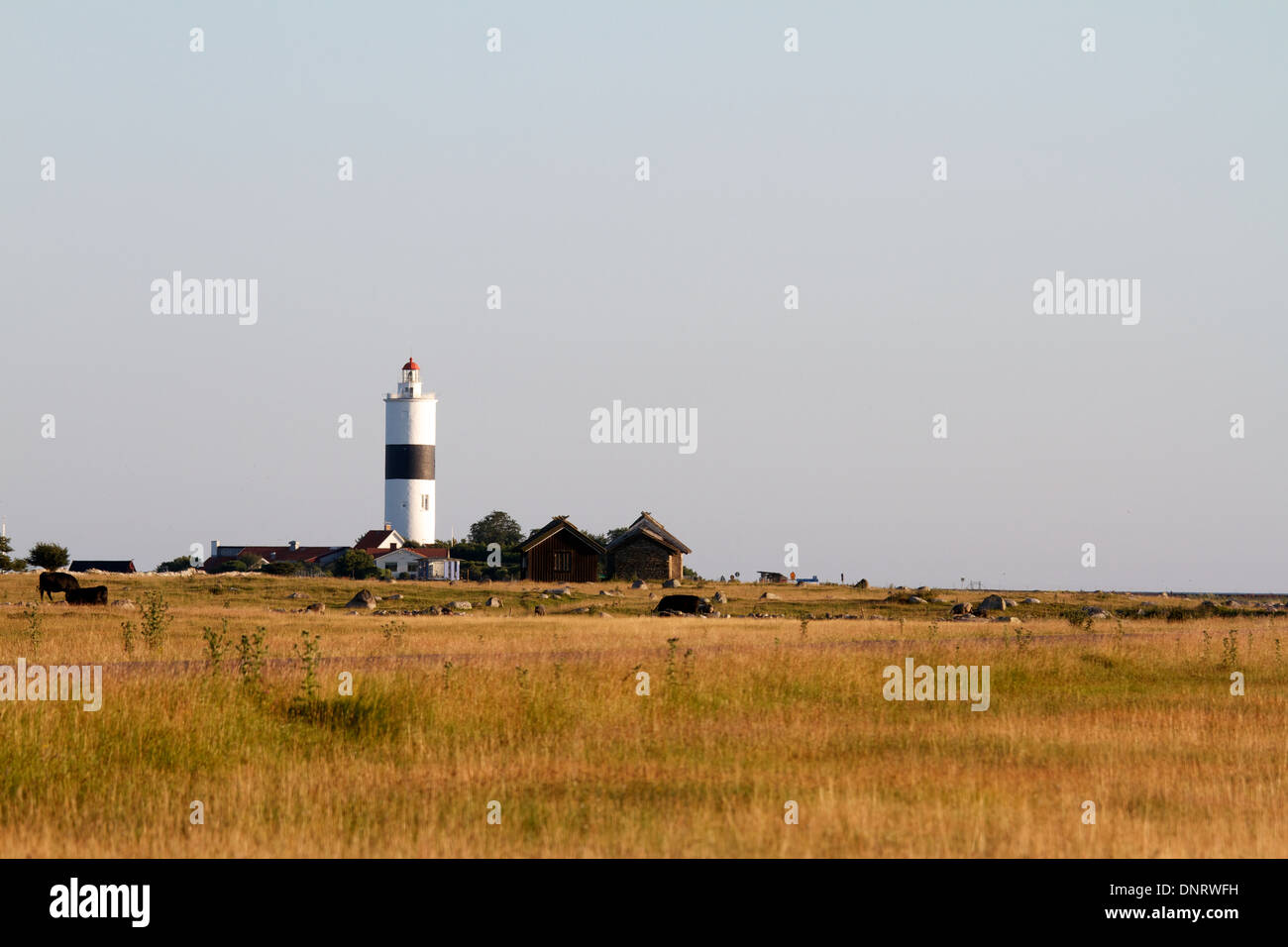 Ottenby nature reserve hi-res stock photography and images - Alamy