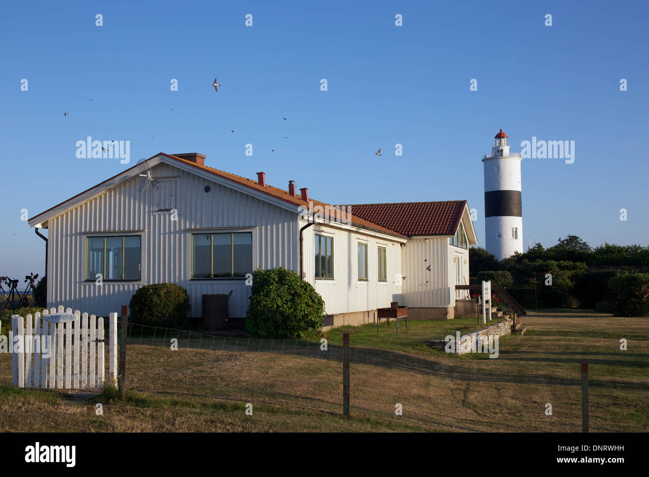 Ottenby nature reserve - Öland island Sweden Stock Photo - Alamy