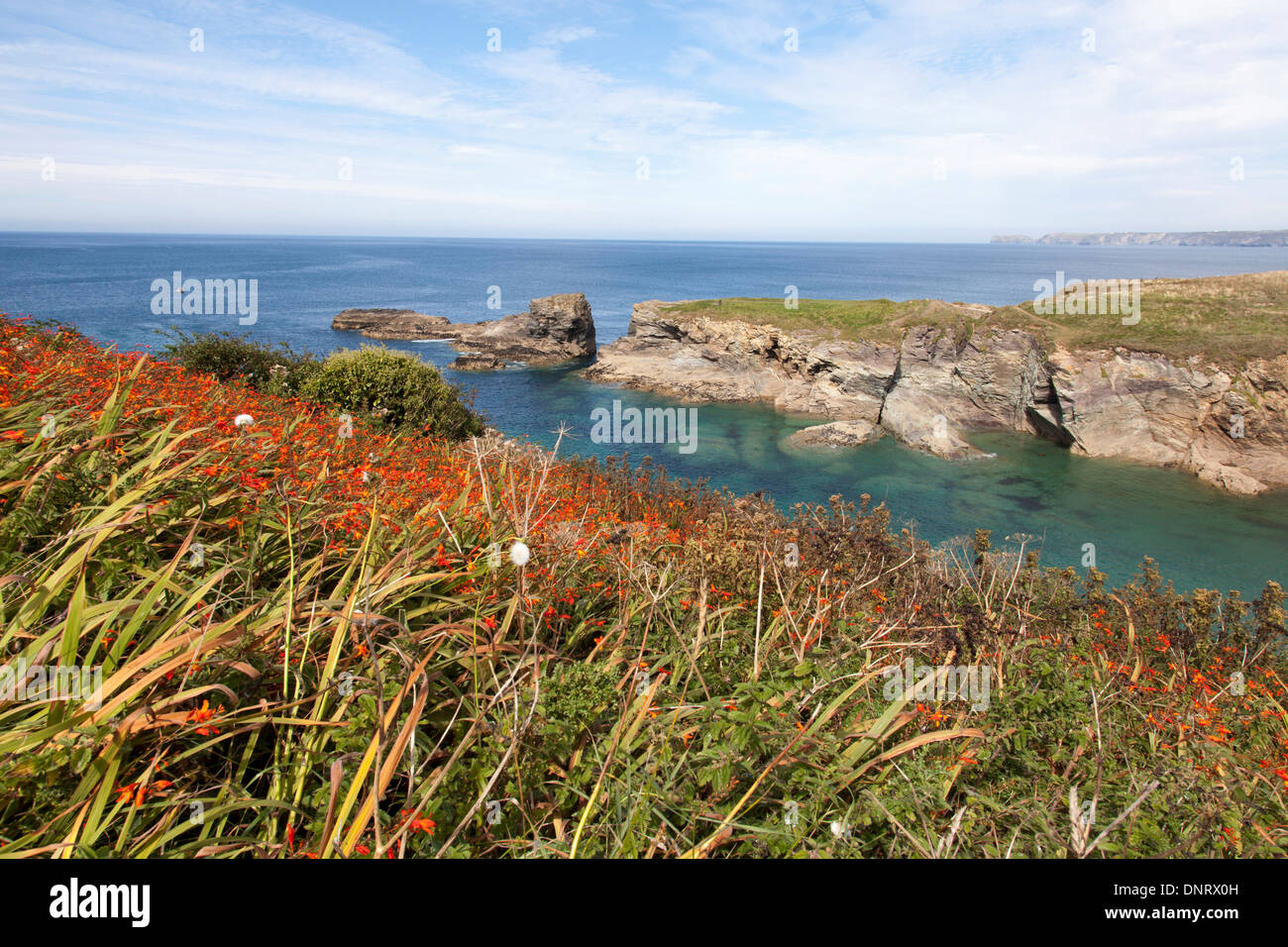 The North Cornwall coast at Port Gaverne, Cornwall, England, U.K Stock ...