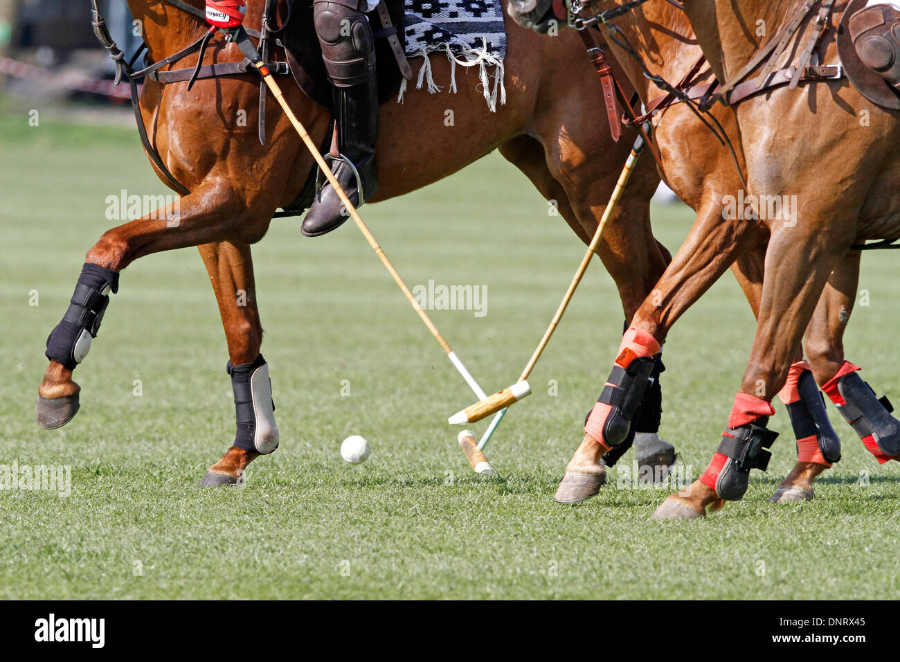 Polo players in action, Polo Cup at Gut Basthorst 2013, Germany Stock ...