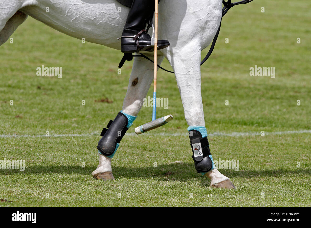 Human pony hi-res stock photography and images - Alamy