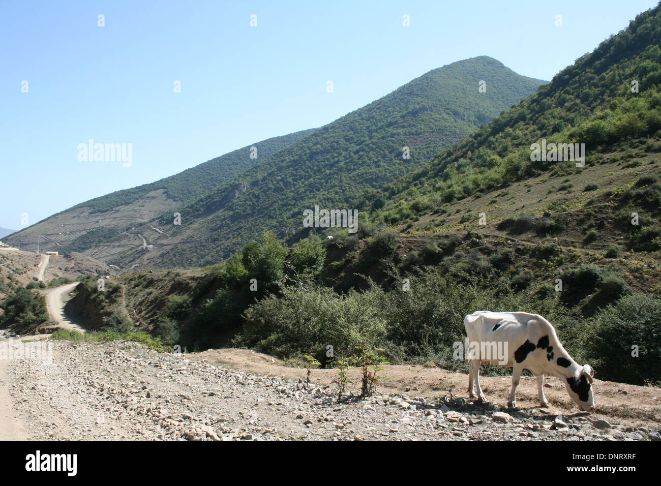 Earth Grazing High Resolution Stock Photography and Images - Alamy