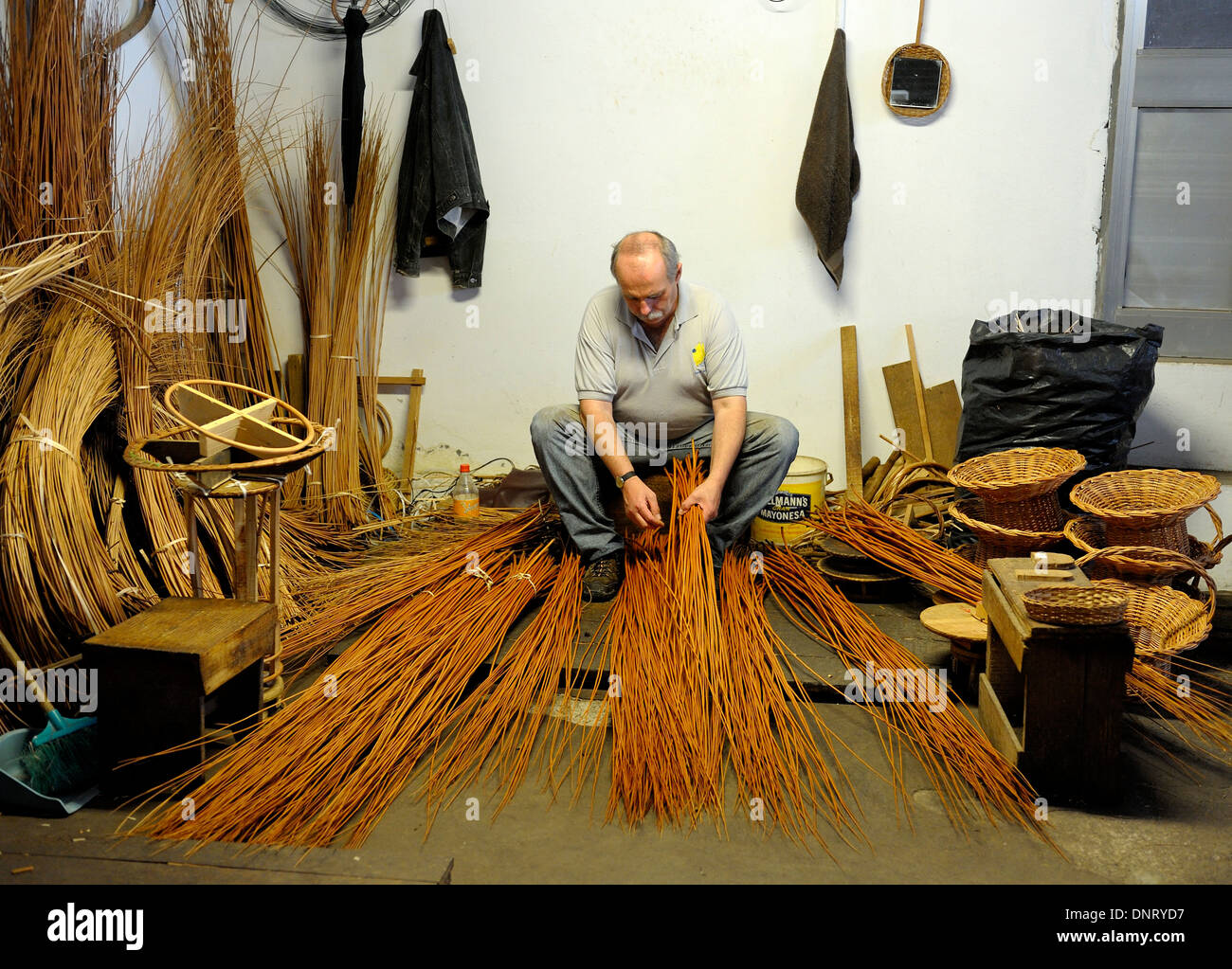 A basket weaver at work in the factory shop in Camacha Madeira Portugal ...