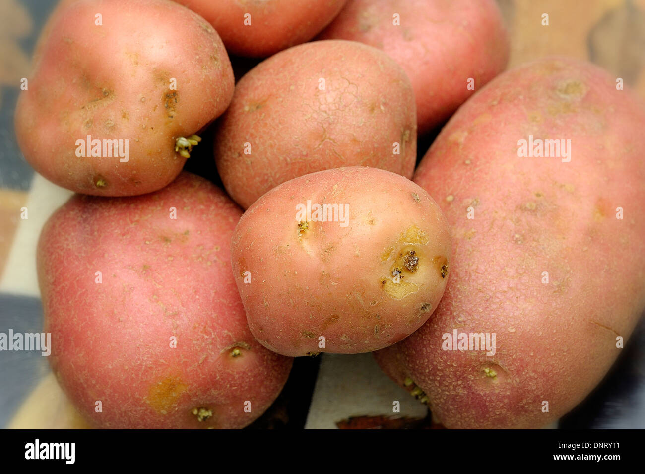 Red potatoes hi-res stock photography and images - Alamy