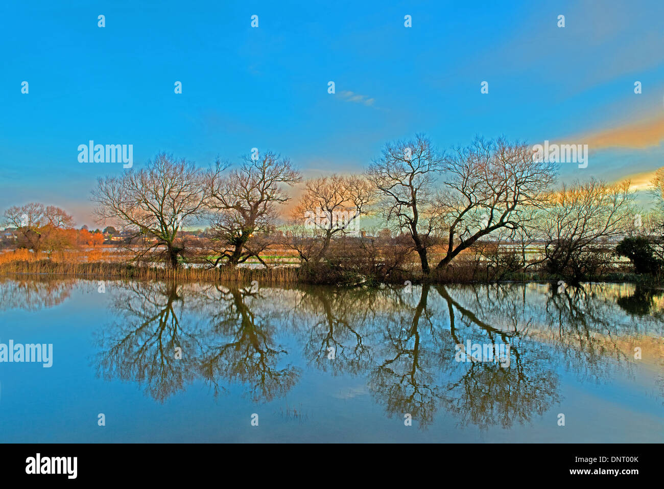 A Landscape View Of A Flooded Field Caused By Heavy Rainfall ...