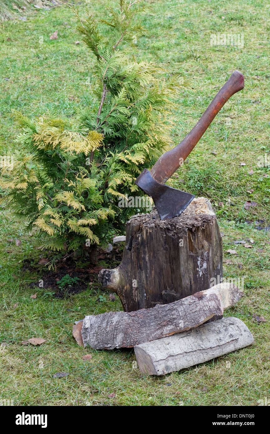 Axe tree hi-res stock photography and images - Alamy
