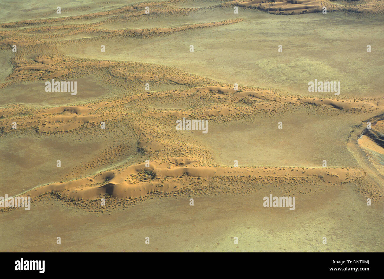 Aerial view of dunes, south of Kuiseb river, Namib-Naukluft NP, Namibia ...