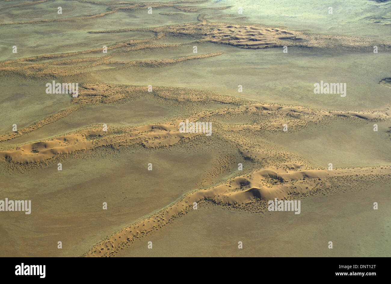 Aerial view of dunes, south of Kuiseb river, Namib-Naukluft NP, Namibia ...