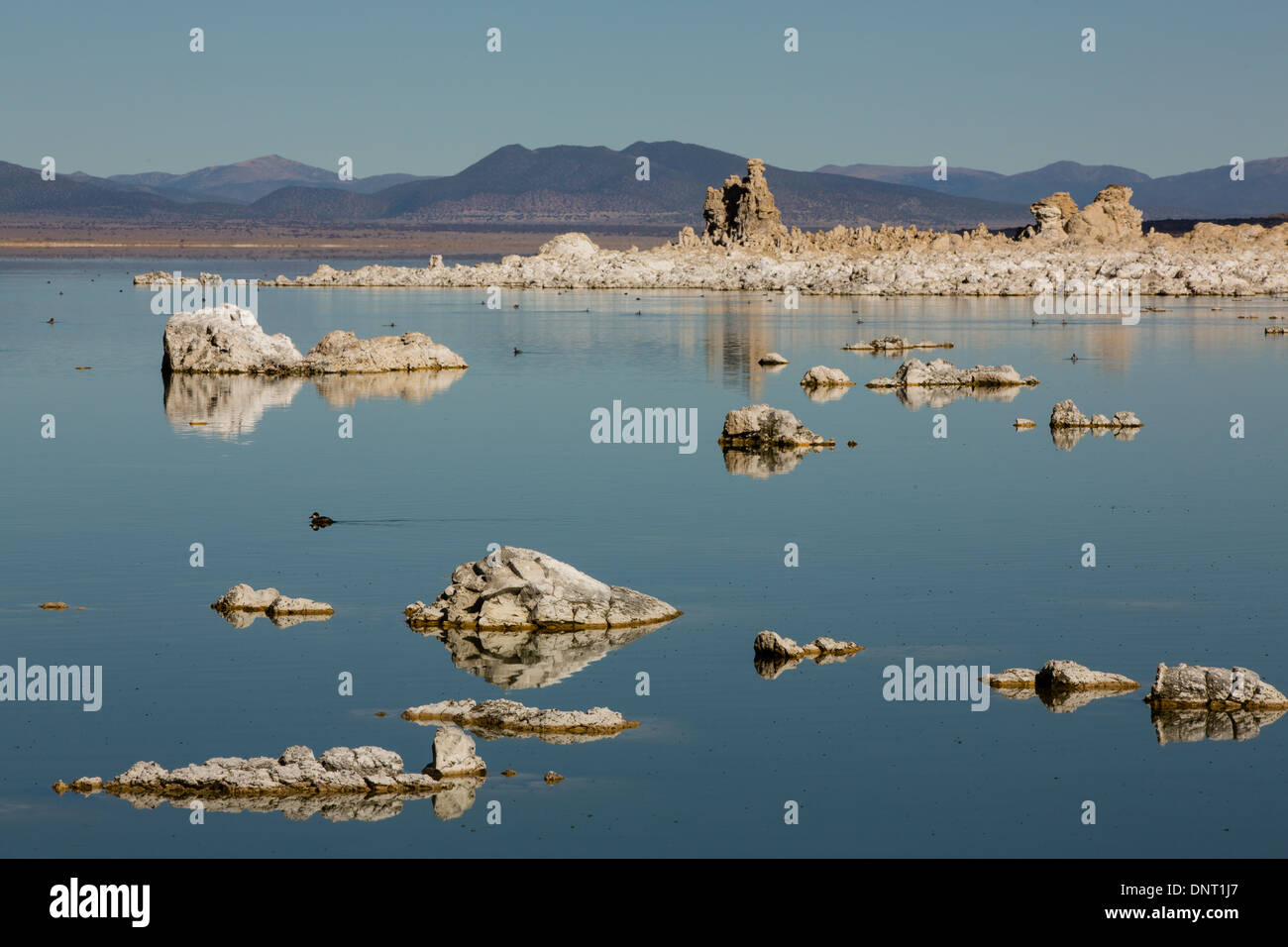 Mono lake in california has odd salt formations Stock Photo - Alamy
