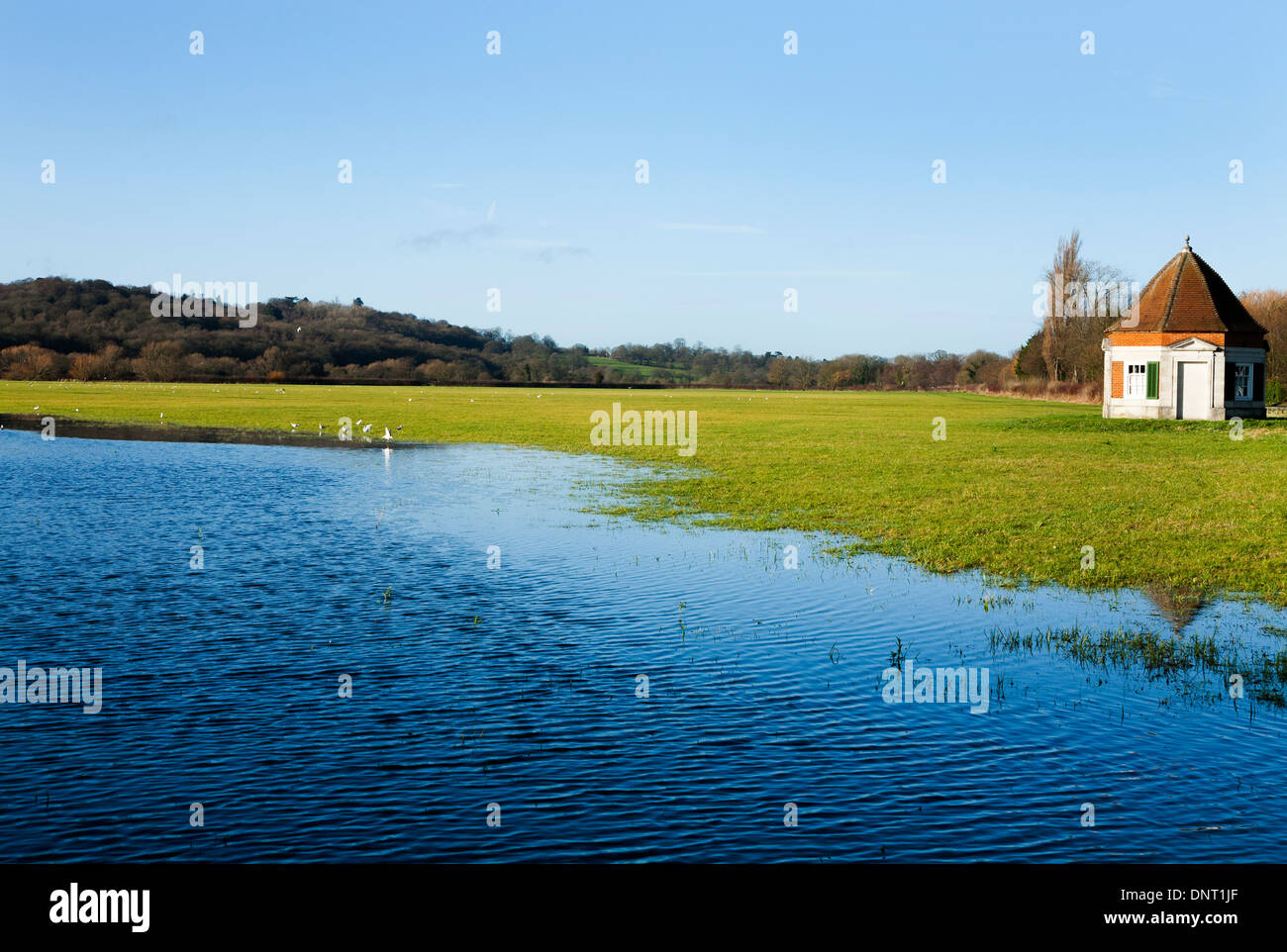 Runnymede meadows & flood plain, site of the signing of Magna Carta in ...