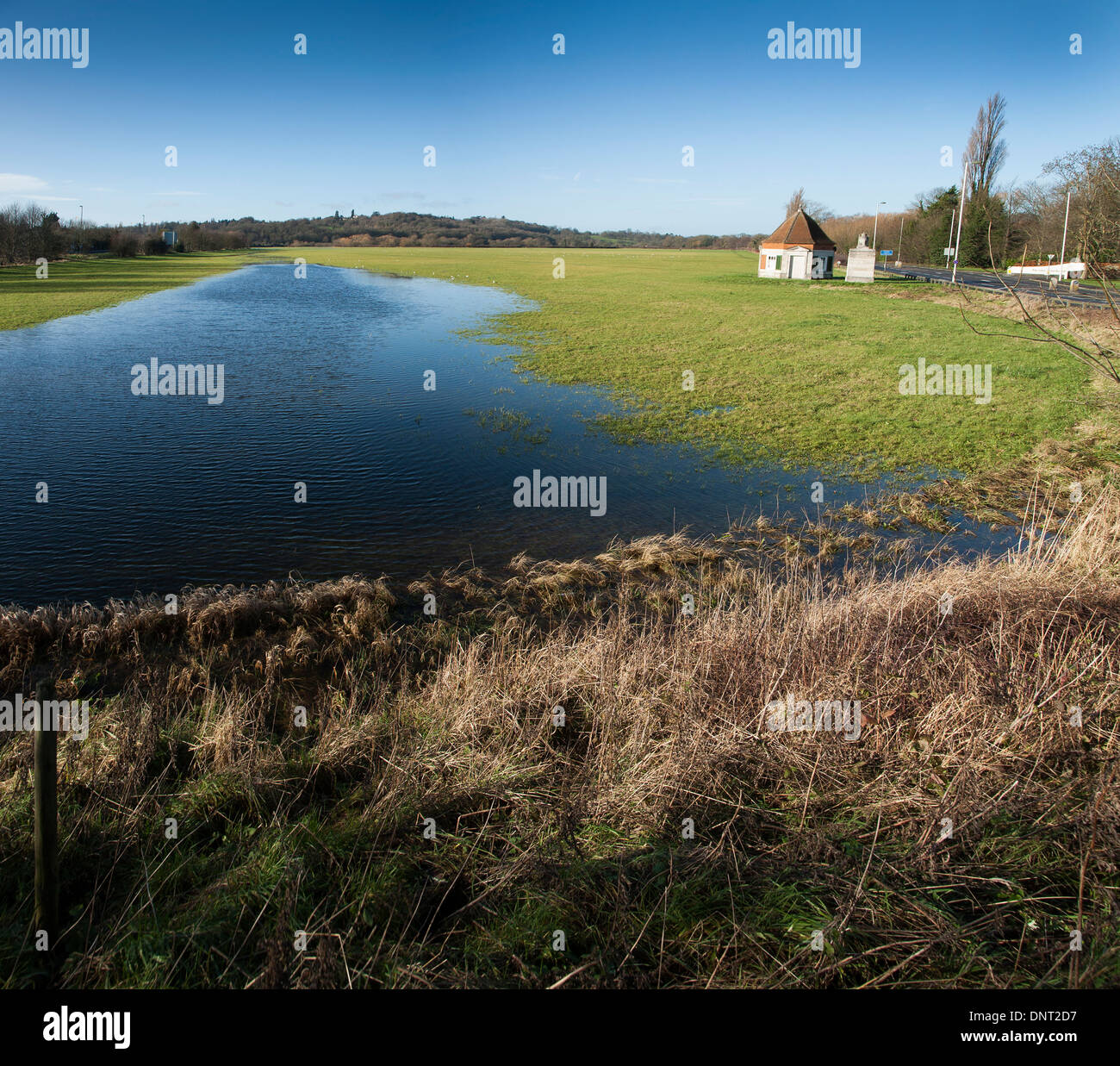 Runnymede meadows & flood plain, site of the signing of Magna Carta in ...