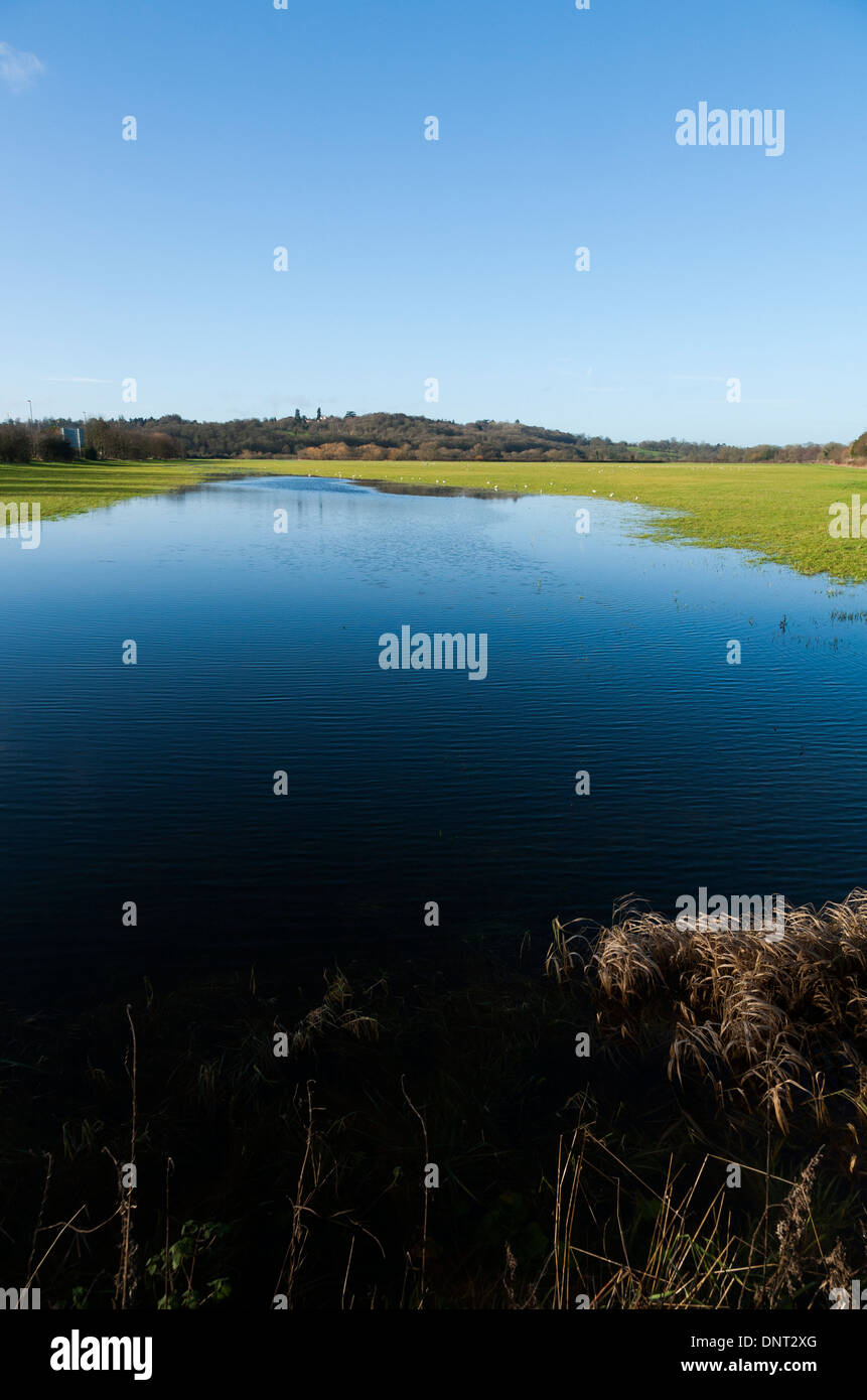 Runnymede meadows & flood plain, site of the signing of Magna Carta in ...