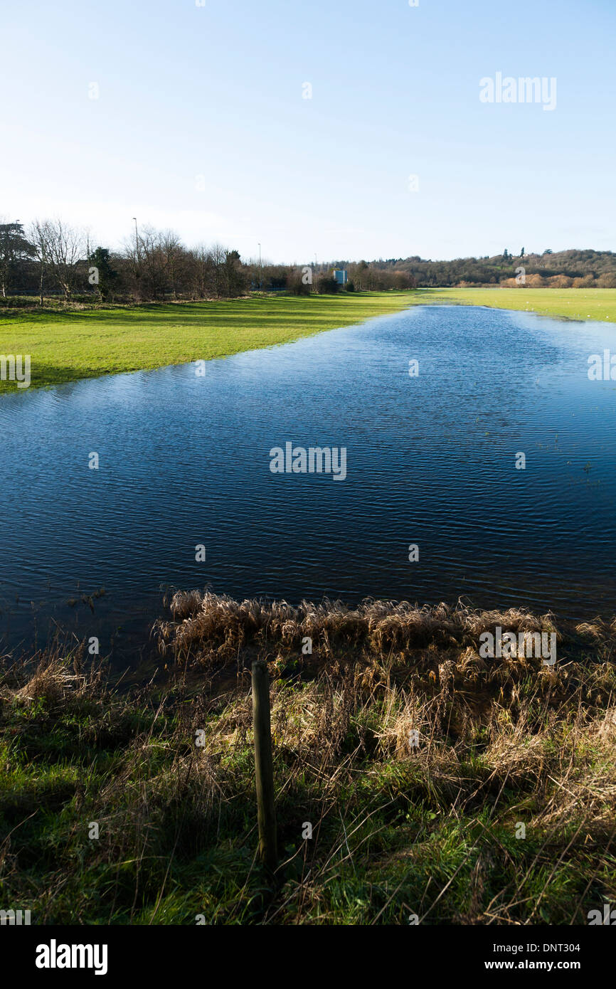 King john signed magna carta hi-res stock photography and images - Alamy