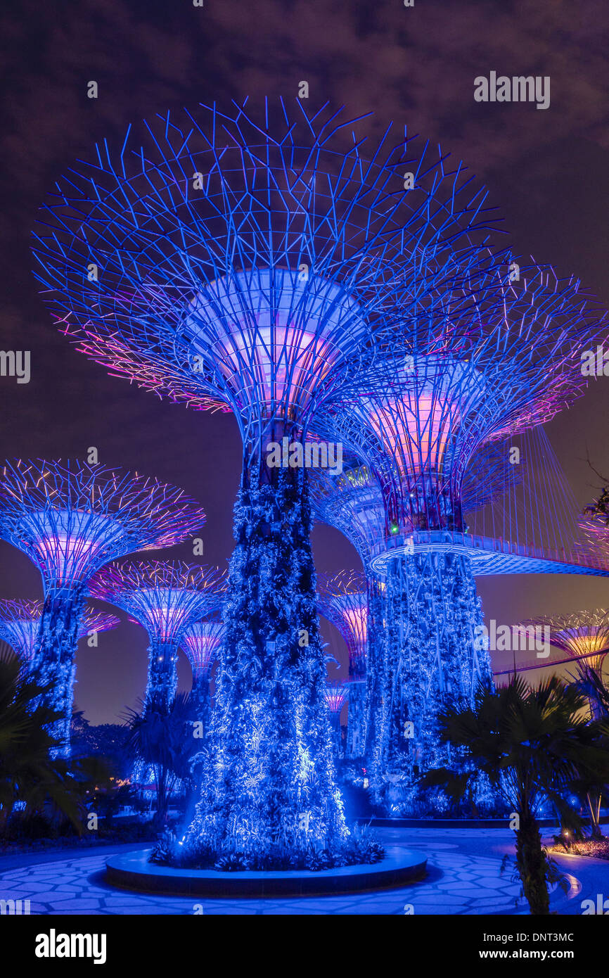 Night View of Supertree Grove Stock Photo - Alamy