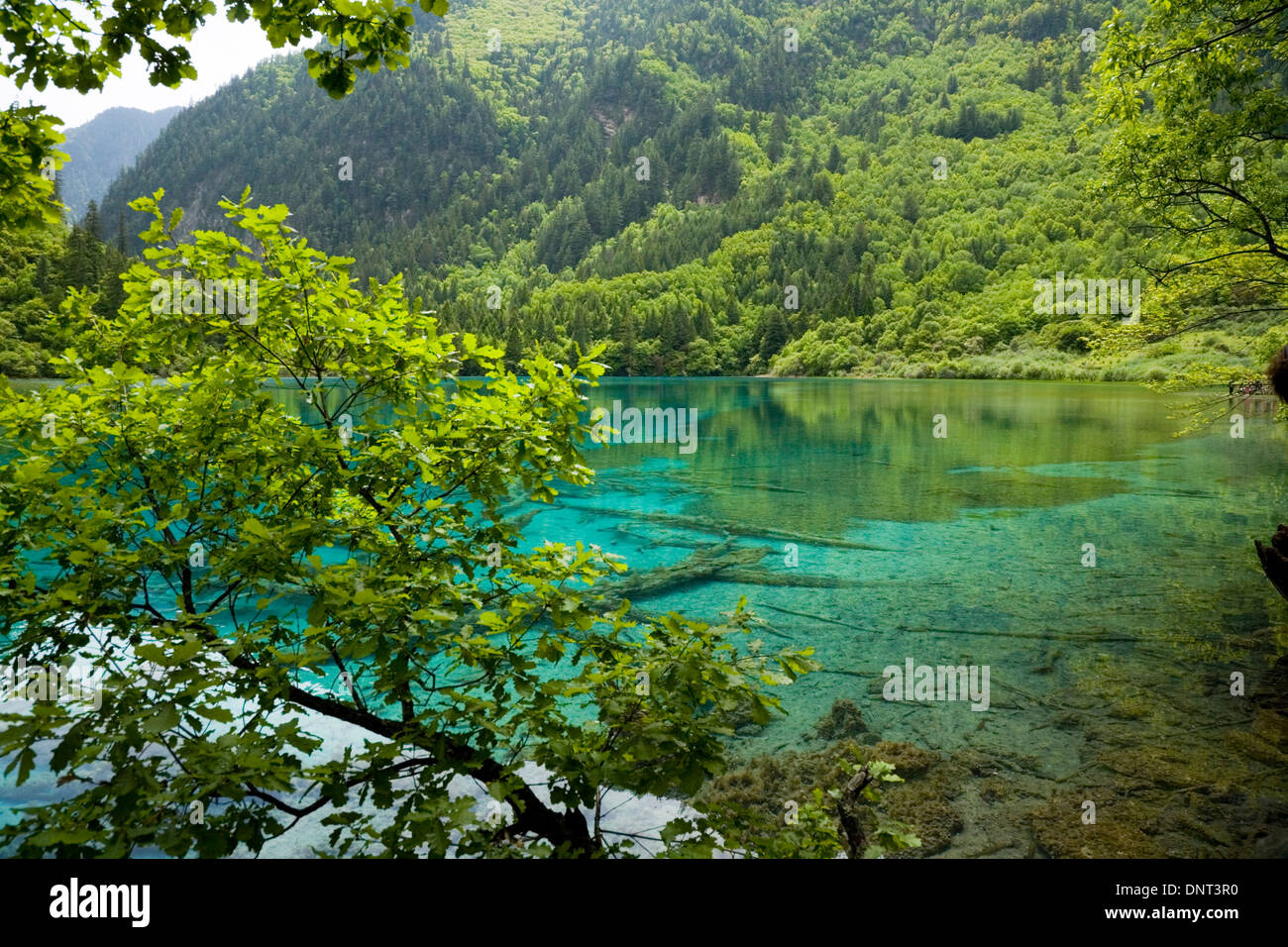 Clear & blue water lakes / lake pond / ponds & famous landscape in ...