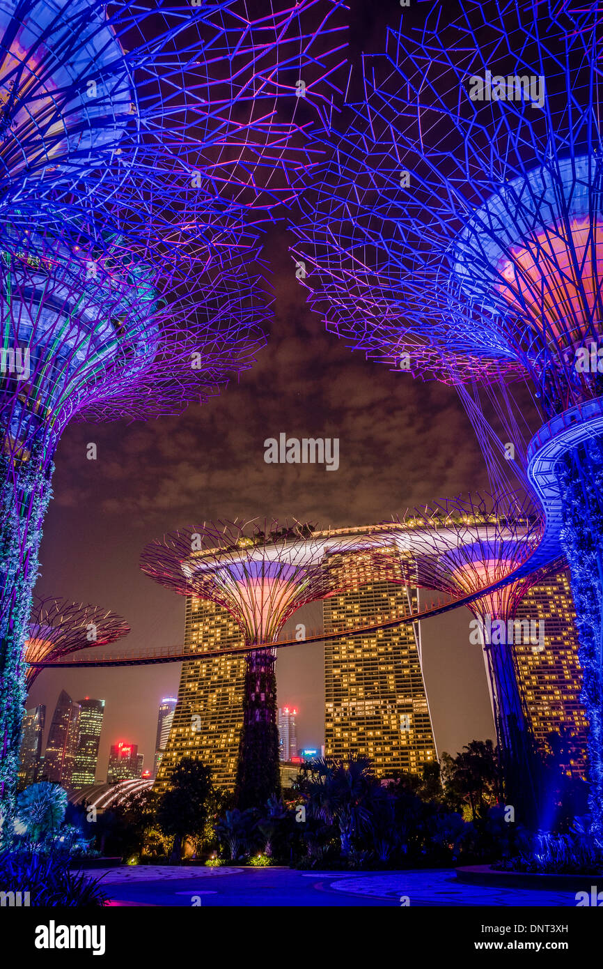 Night View of Supertree Grove Stock Photo - Alamy
