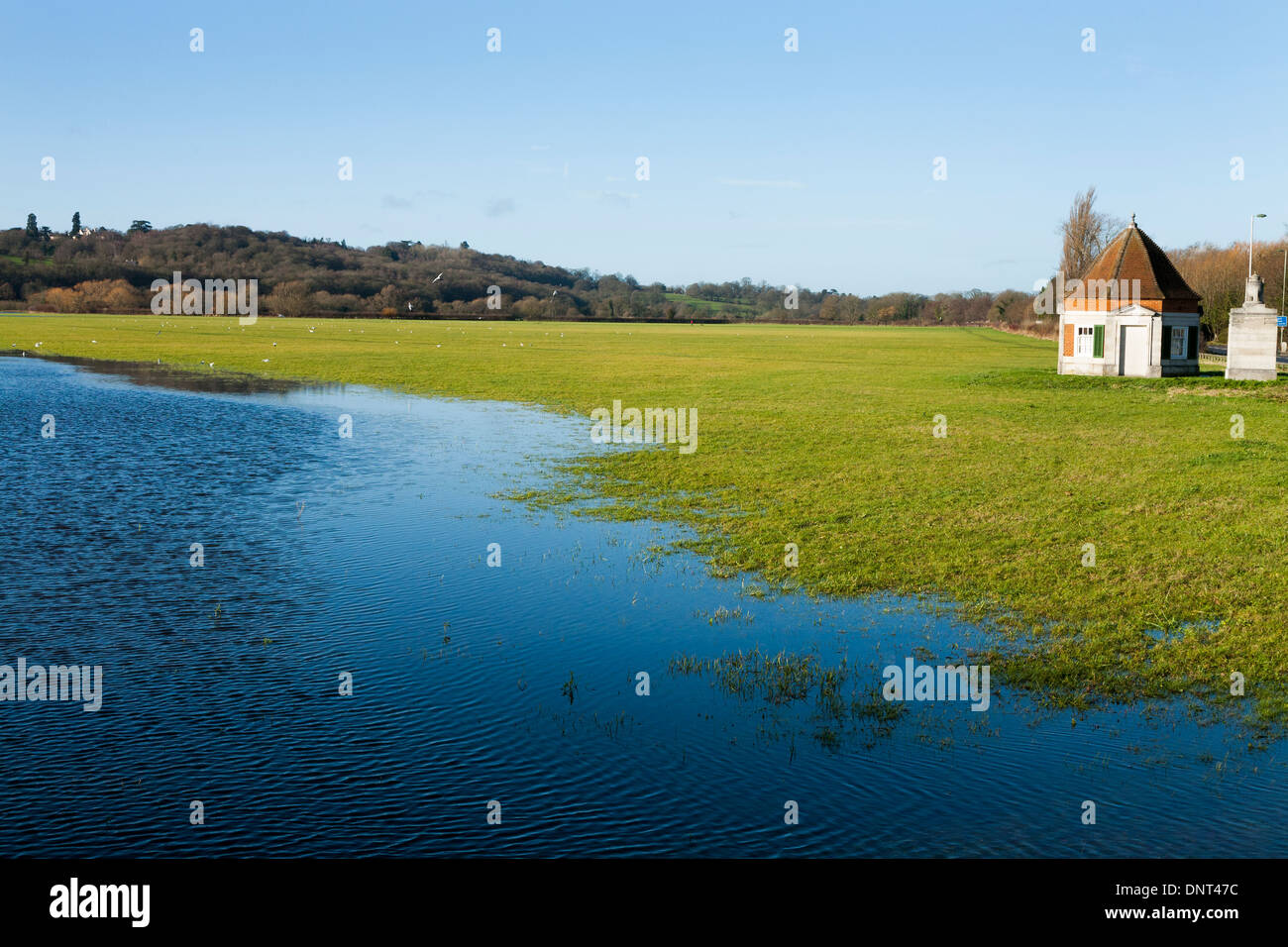 Runnymede meadows & flood plain, site of the signing of Magna Carta in ...