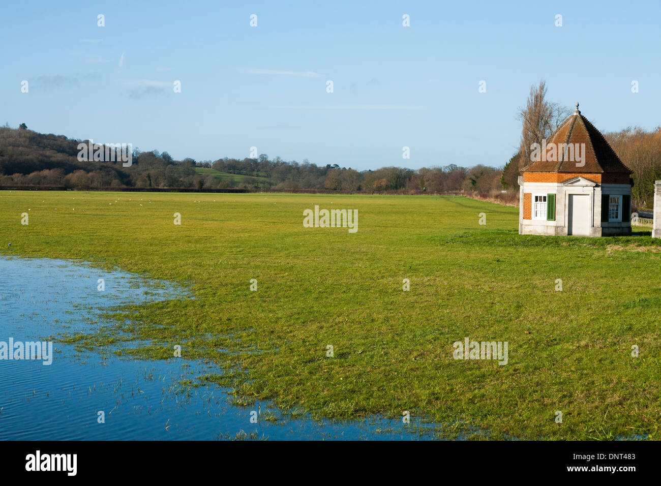 King john signing magna carta hi-res stock photography and images - Alamy