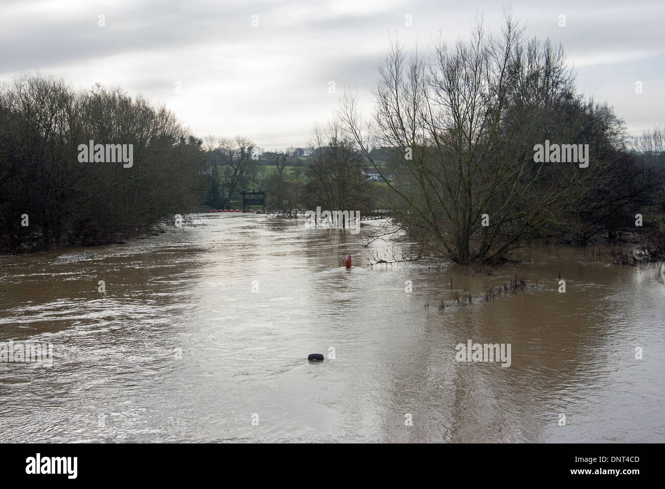 River Medway Flooding Kent England UK Europe Stock Photo - Alamy