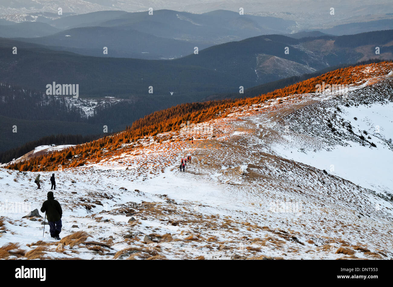 1st Jan 2014, Carpathian mountains - Hikers celebrate New Year on the top of Hoverla mountain ...
