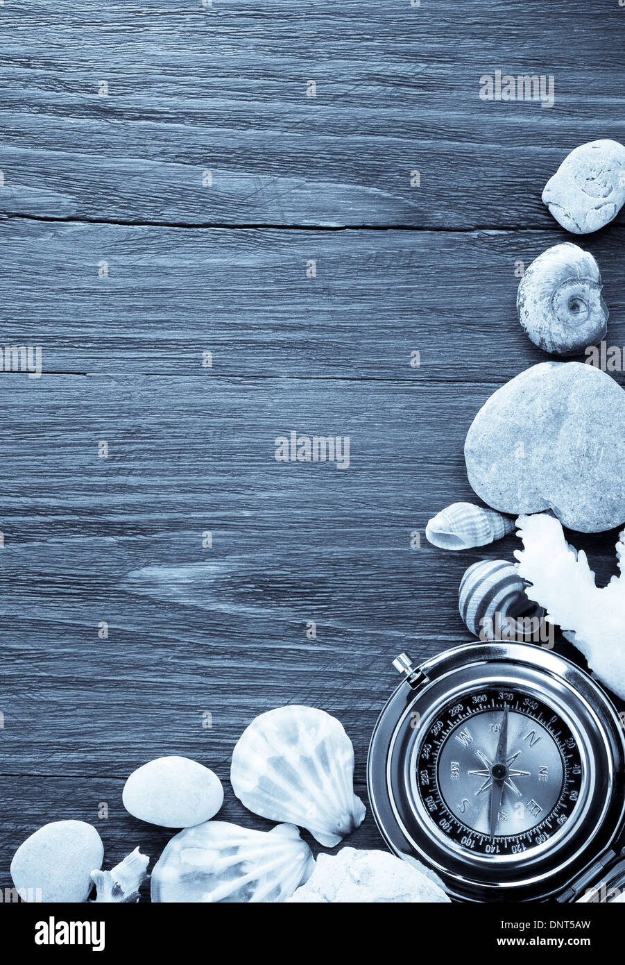 seashell and compass on wood background Stock Photo - Alamy
