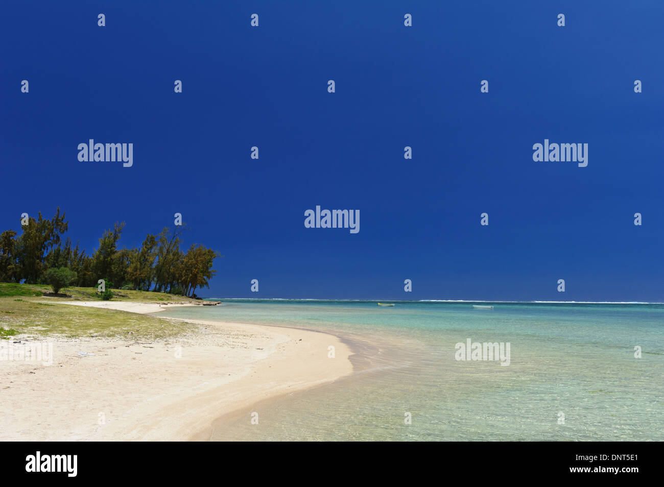 Corail La Prairie beach, Mauritius Stock Photo - Alamy