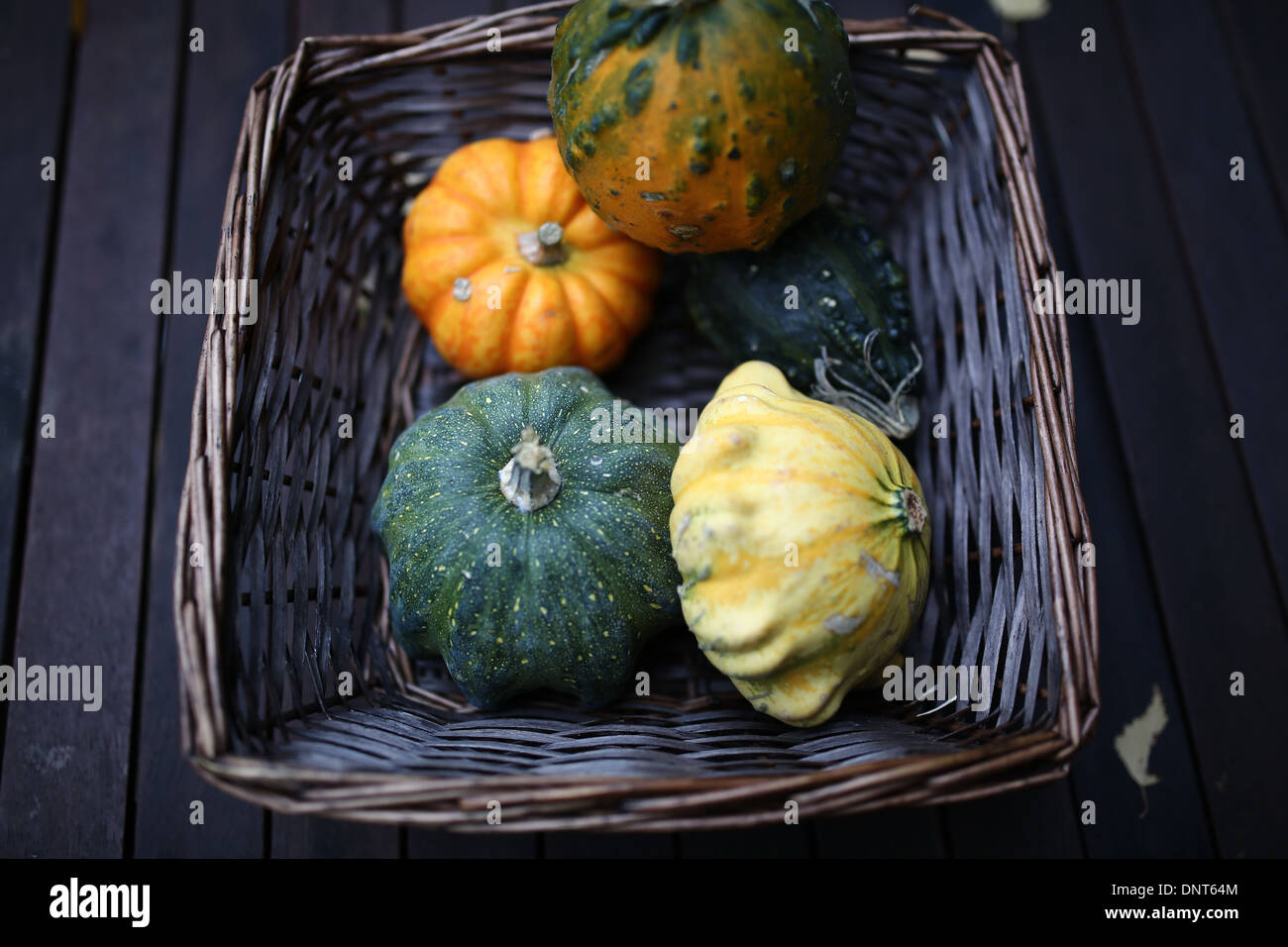 Halloween pumpkins organic food hi-res stock photography and images - Alamy