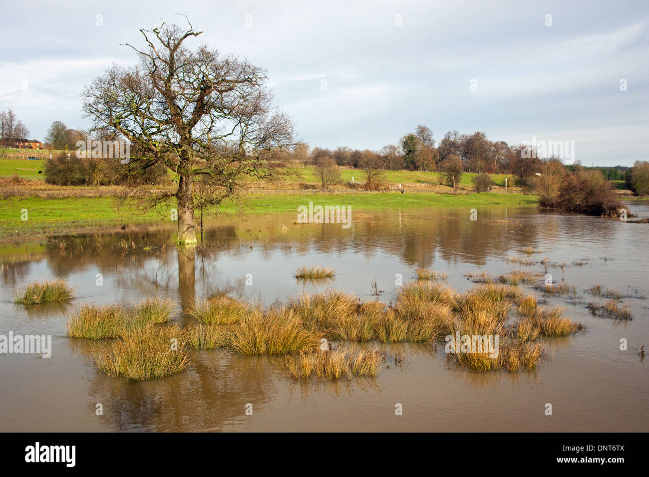 River Medway Flooding Kent England UK Europe Stock Photo - Alamy