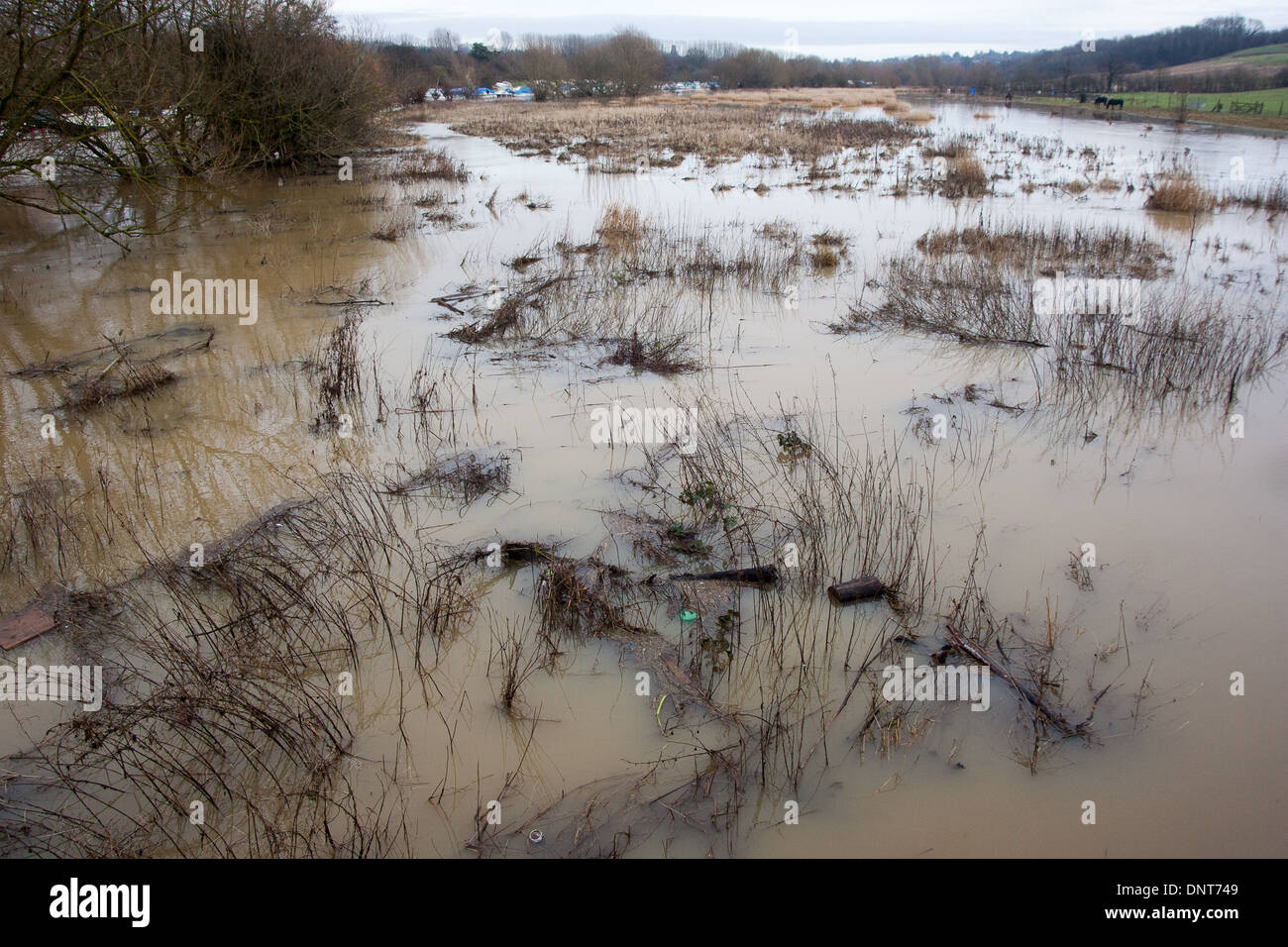 River Medway Flooding Kent England UK Europe Stock Photo - Alamy